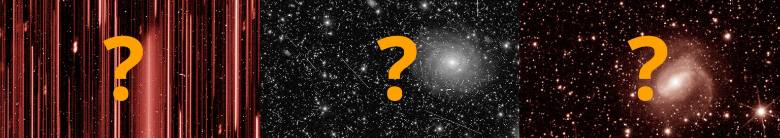 What’s in Euclid’s First Light images? – Euclid Consortium