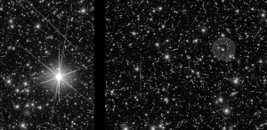 What’s in Euclid’s First Light images? – Euclid Consortium